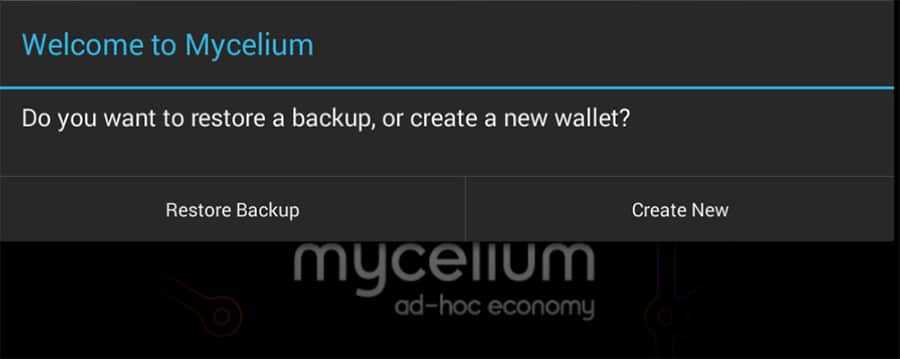 MyCelium Wallet Review: Safe Crypto Wallet? | Complete Guide
