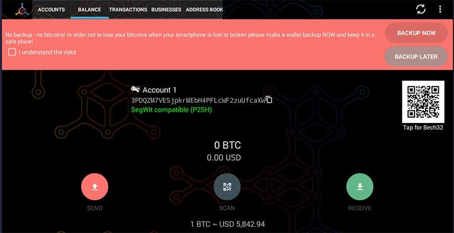MyCelium Wallet Review: Safe Crypto Wallet? | Complete Guide