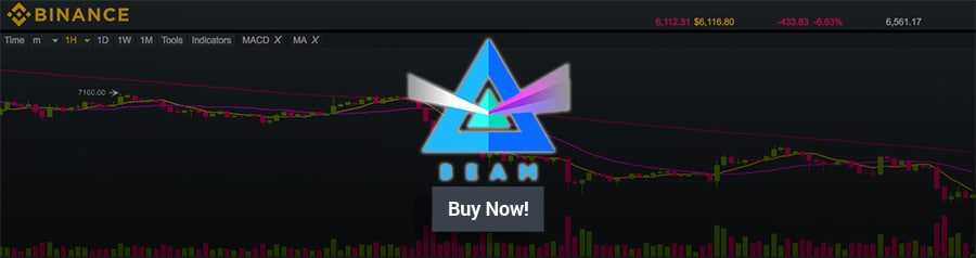 BEAM Coin Review: Really Worth It? Complete Beginners Guide