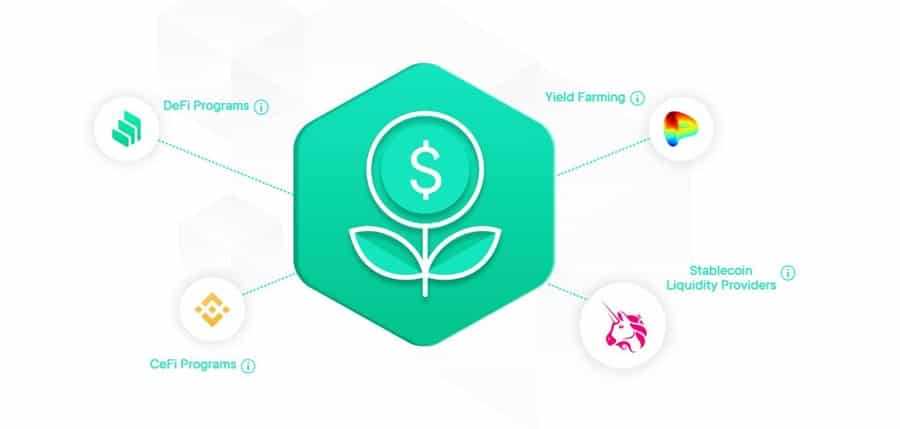 SwissBorg Review 2025: Unlock the Secrets of Wealth Management