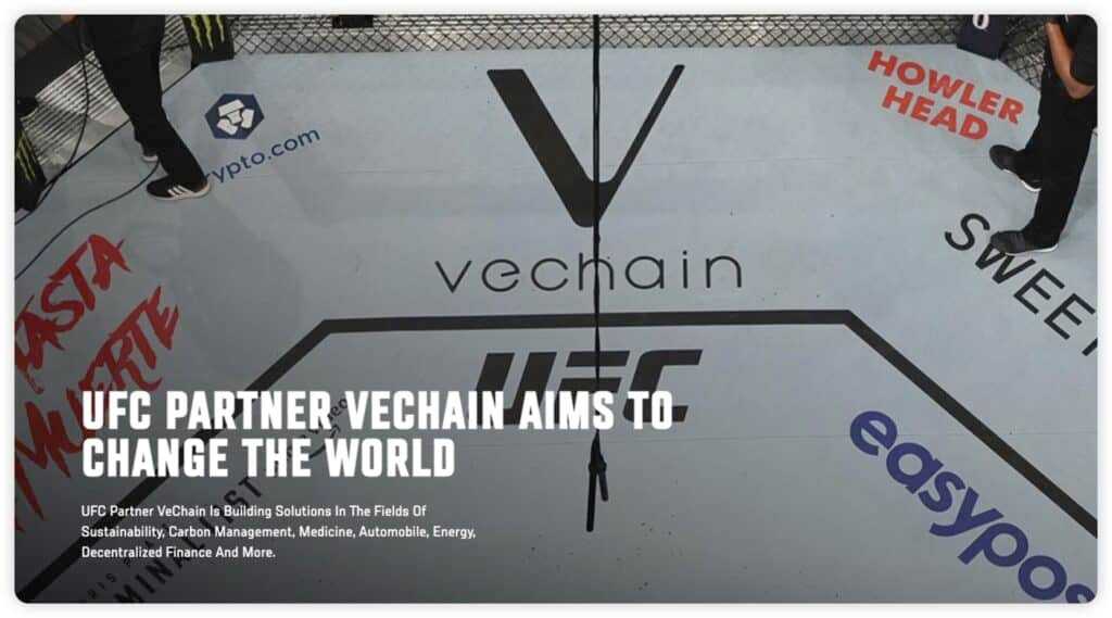 VeChain Review 2025: Why VET has Potential!