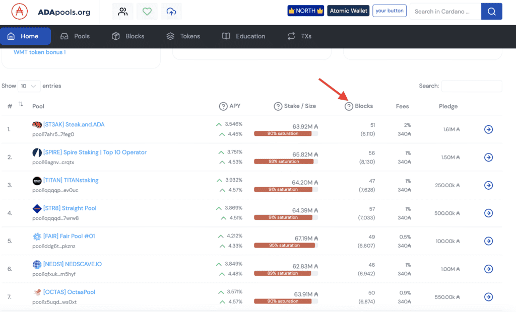 How to Choose a Cardano Staking Pool in 2025