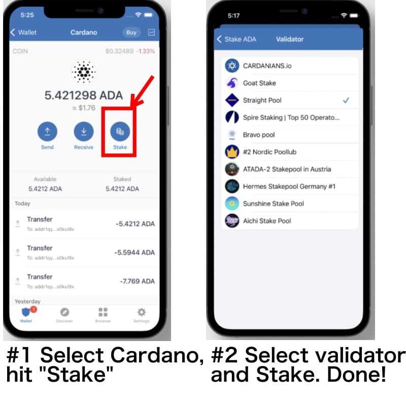 How to Choose a Cardano Staking Pool in 2025
