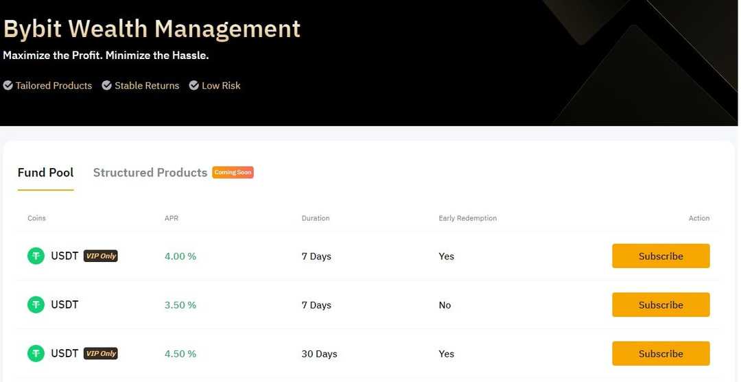 Bybit Earn Program: Benefits and Risks Explored!