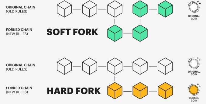 Soft Fork Vs. Hard Fork: Their Definitions & Differences Explained
