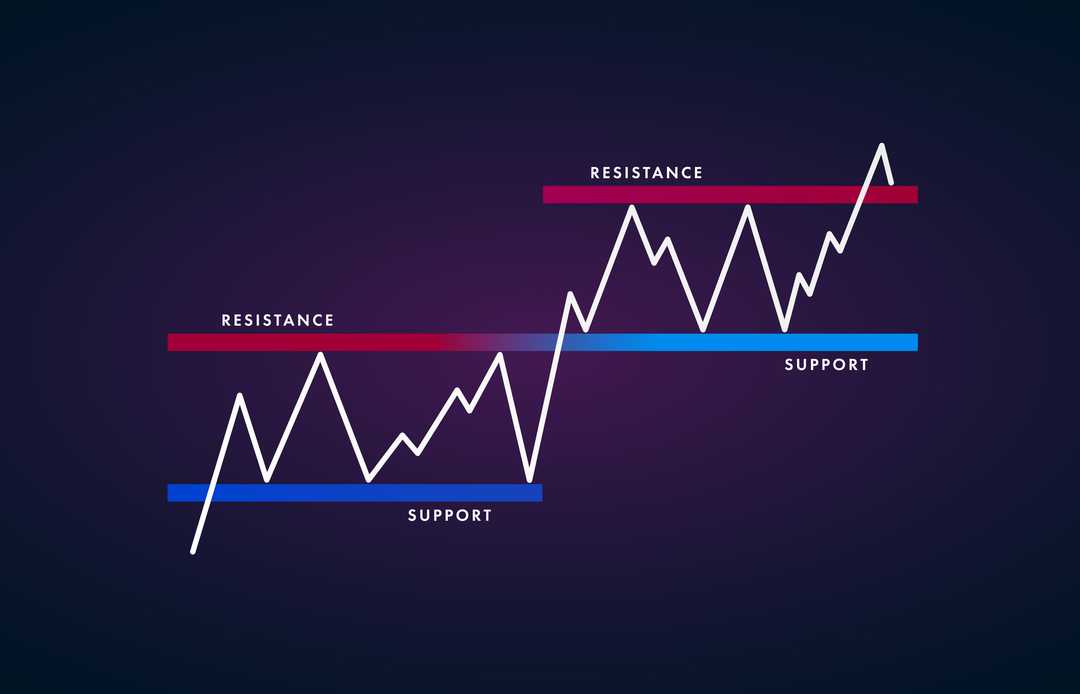 Complete Beginner's Guide to Reading Crypto Charts