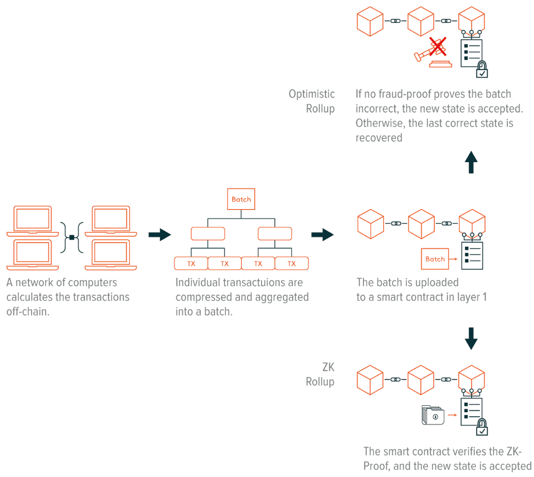 Wondering Which Layer 2 is Best? Our Analysis Breaks it Down!
