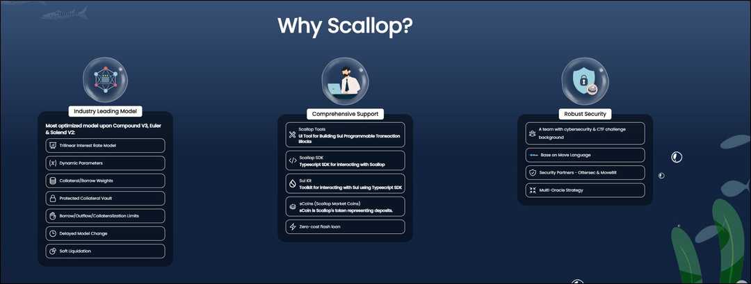 Ultimate Sui Guide 2025: How to Get Started with Sui!