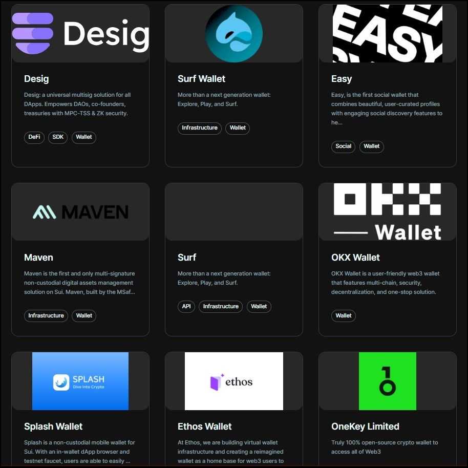 Ultimate Sui Guide 2025: How to Get Started with Sui!