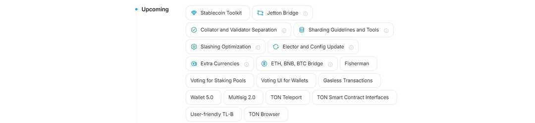 The Open Network Review 2025: Insights into Toncoin!