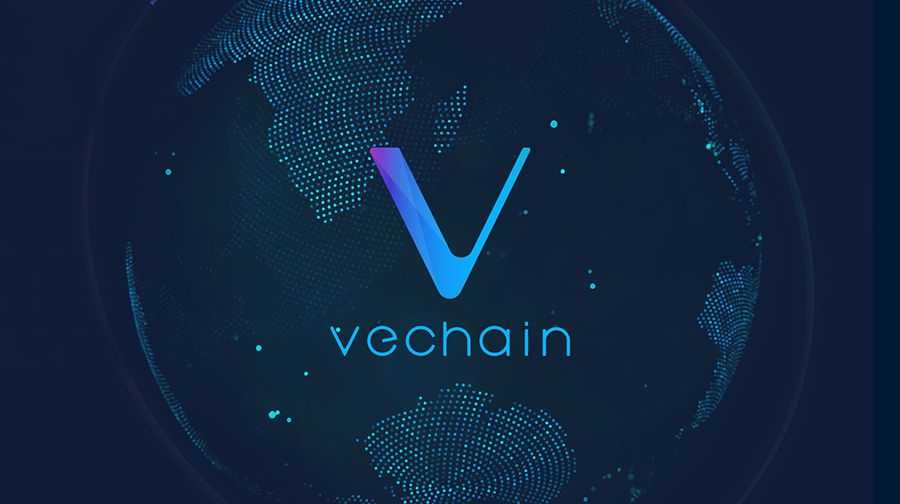 VeChain Review 2025: Why VET has Potential!