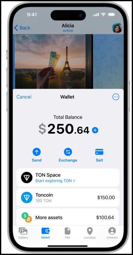 Top Toncoin Wallets: 7 Best Toncoin Wallets of 2025