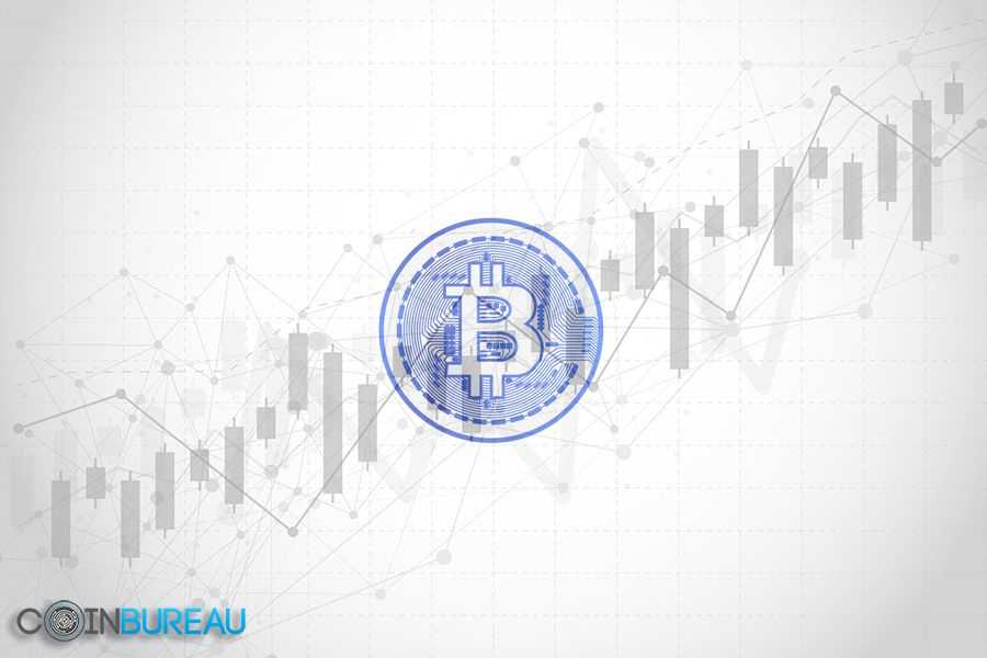 Complete Beginner's Guide to Reading Crypto Charts