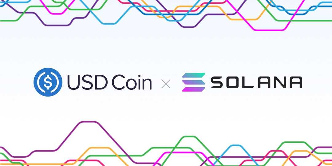 Sui vs Solana: Comparing Adoption, Scalability and More!